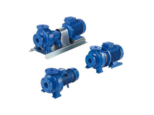 2543160004M Ebara 3D/M 65-160/11 - Cast Iron END SUCTION CENTRIFUGAL ...